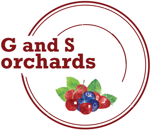 Apple Farm: You Pick Apples in Rochester, NY - G and S Orchards